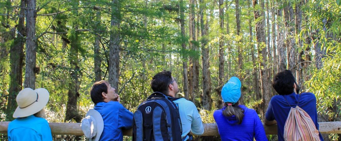 Environmental Resources Management